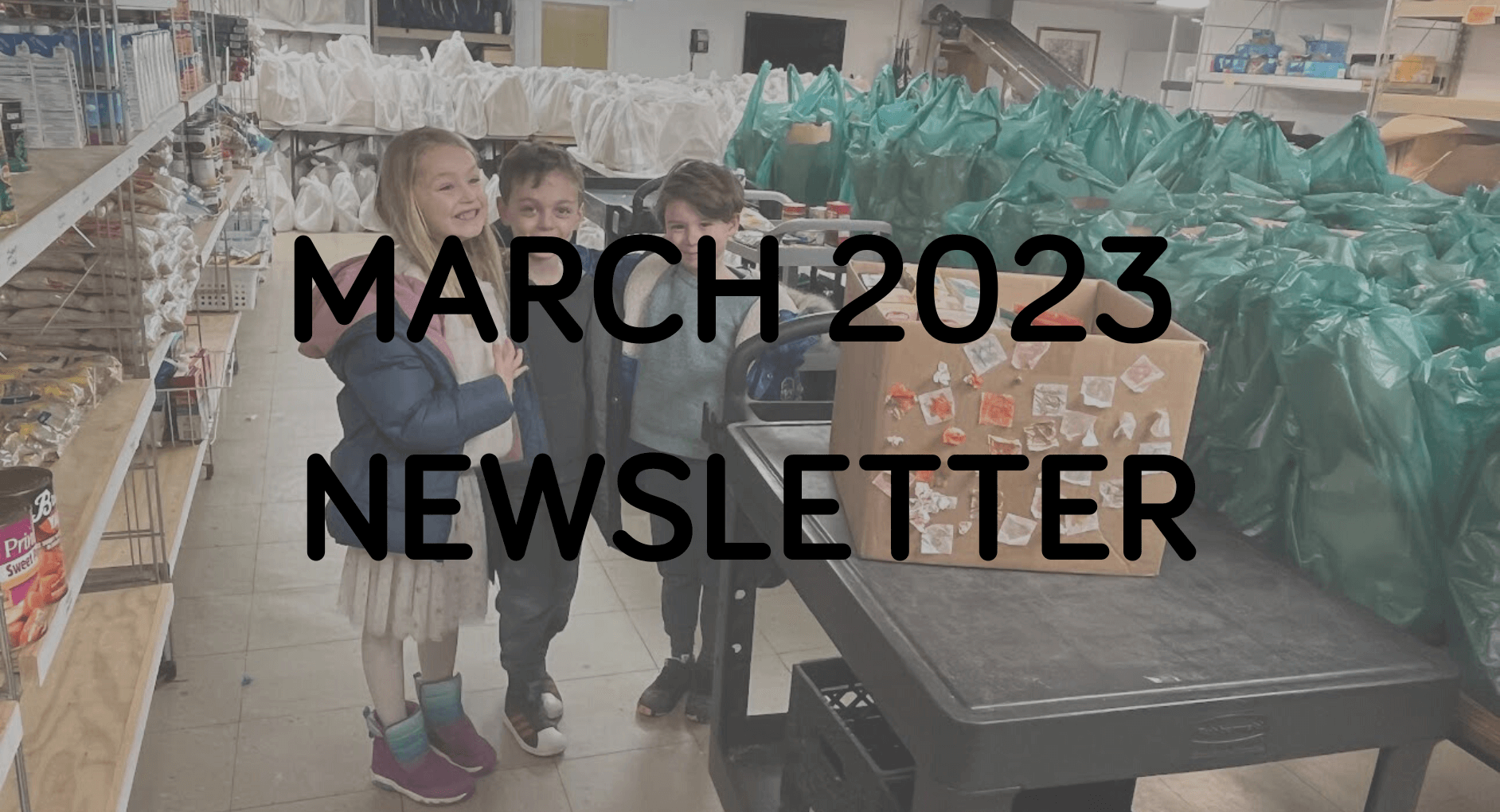 Newsletters 2023 - Discover updates - Heart of the Hamptons